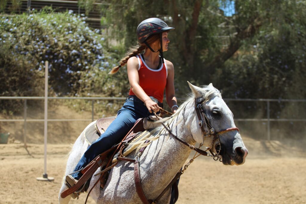 15 Best Jeans for Horseback Riding for Women | All About Jeans