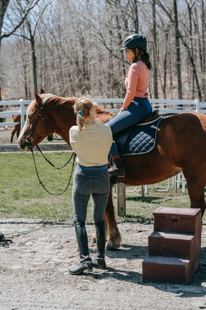15 Best Jeans for Horseback Riding for Women | All About Jeans