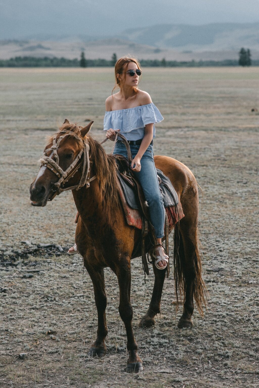 15 Best Jeans for Horseback Riding for Women | All About Jeans